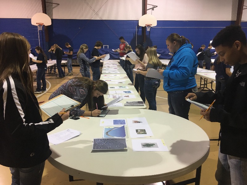 St. Francis - FFA Students Compete in Vet Science